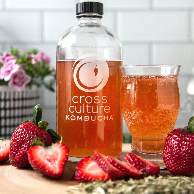 Home – Tagged "Home"– Cross Culture Kombucha