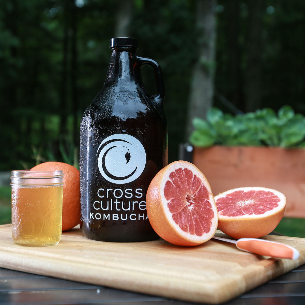 What is Kombucha? – Cross Culture Kombucha