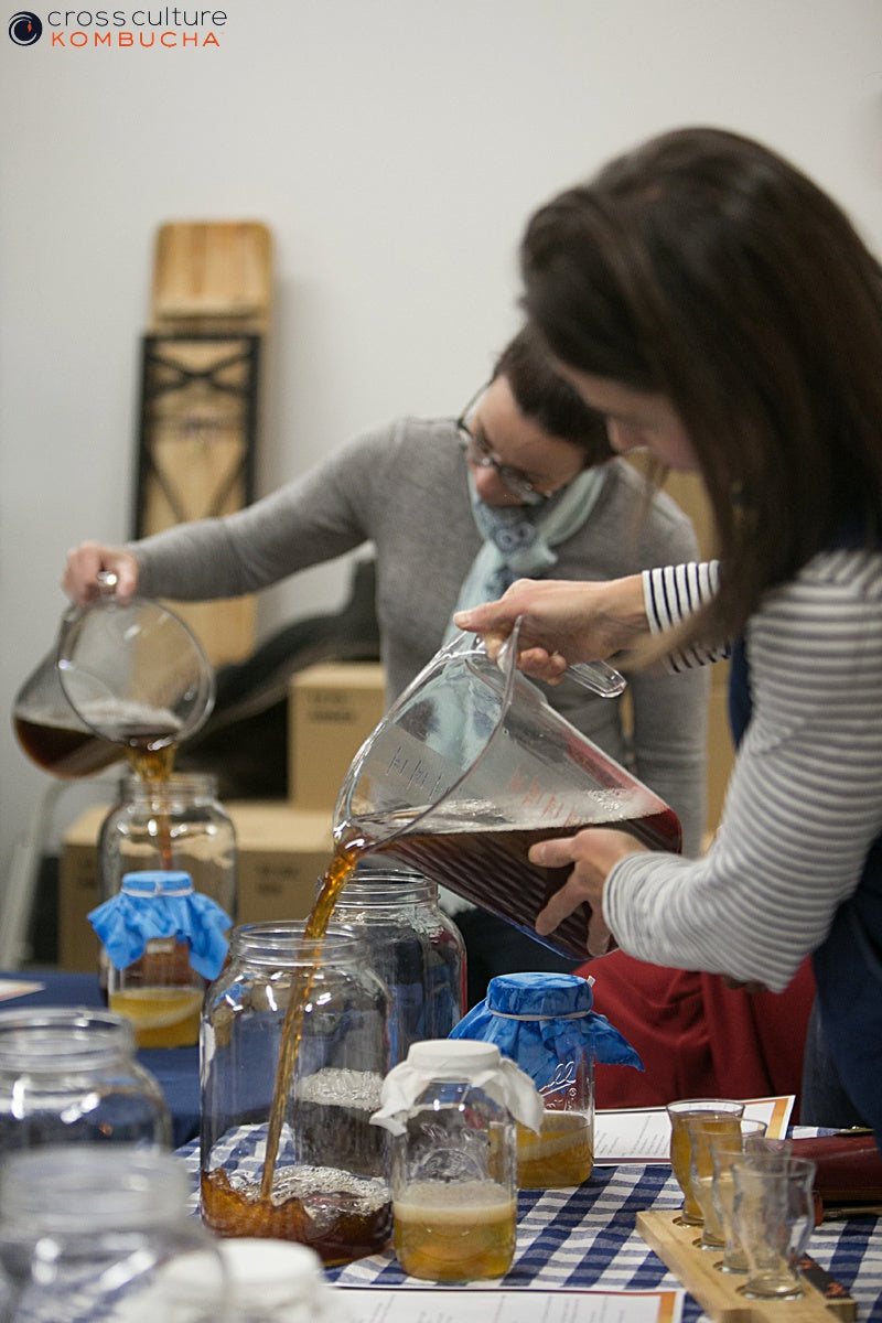 Health Benefits – Cross Culture Kombucha